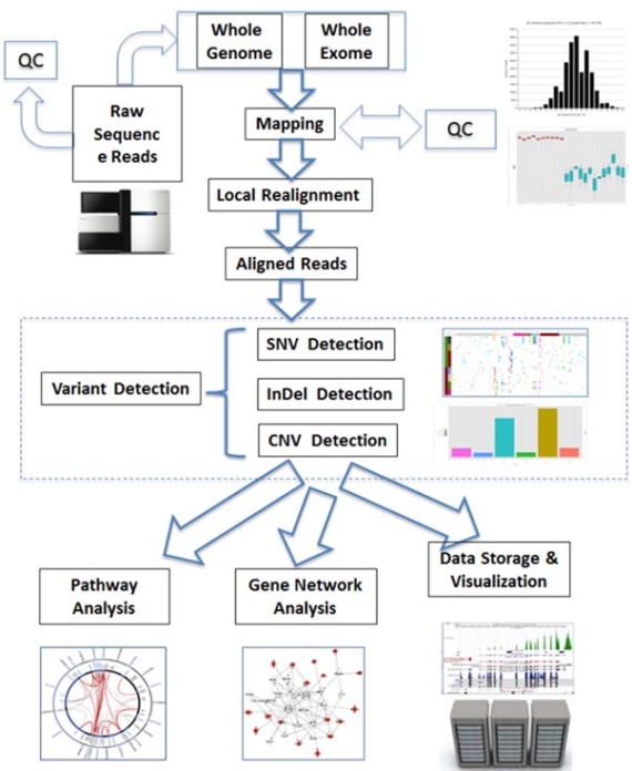 NGS data analysis Services - Lead Sciences NGS data analysis Services - Lead Sciences